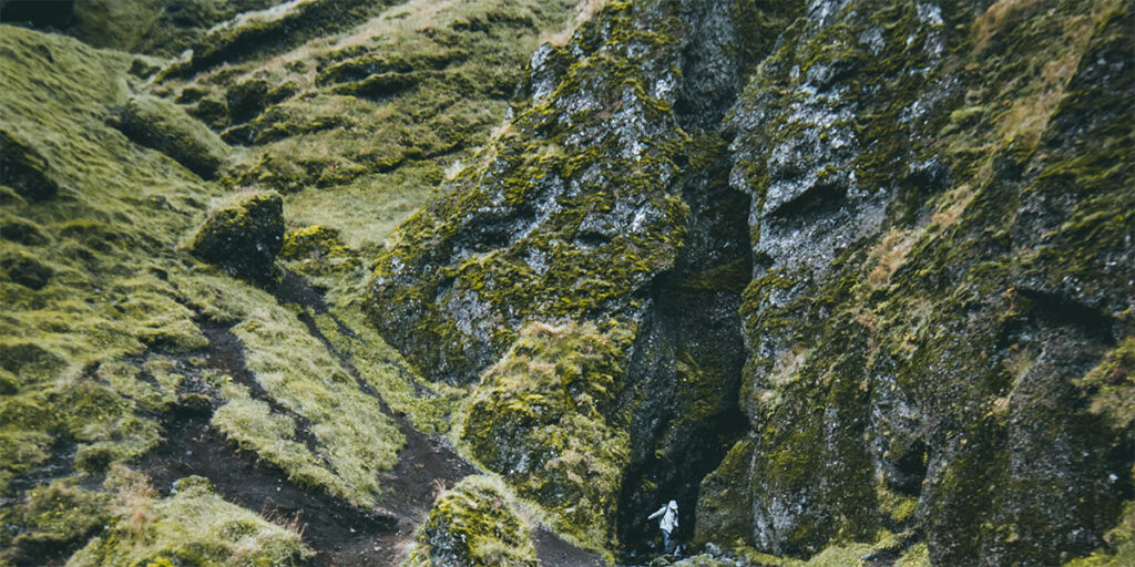 How falling into a ravine led to a value aligned life | Global Values ...